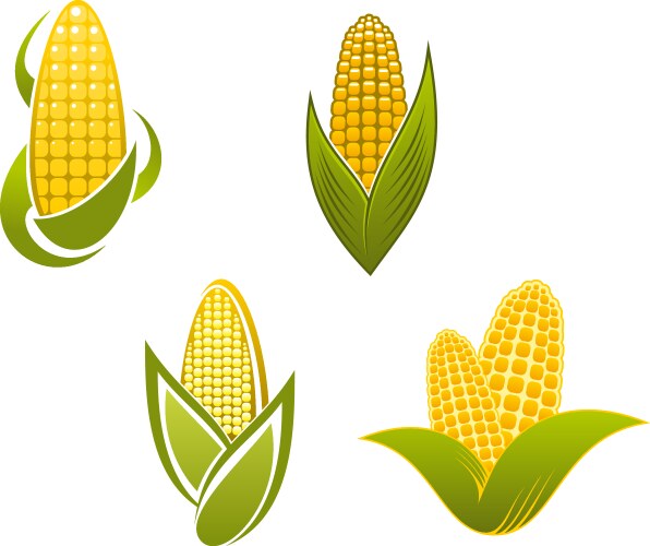 Corn Vector Images (over 110,000)