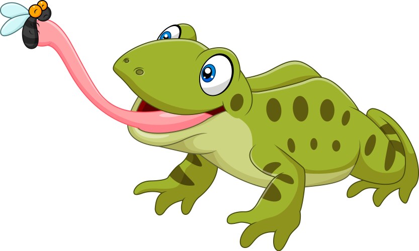 Cartoon frog catching a fly Royalty Free Vector Image