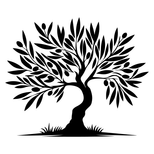 Olive tree silhouette flat style minimalist Vector Image