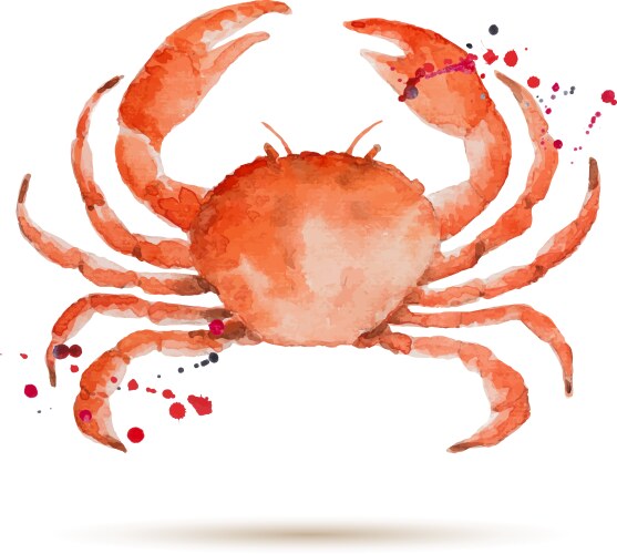 Crab Vector Images (over 47,000)