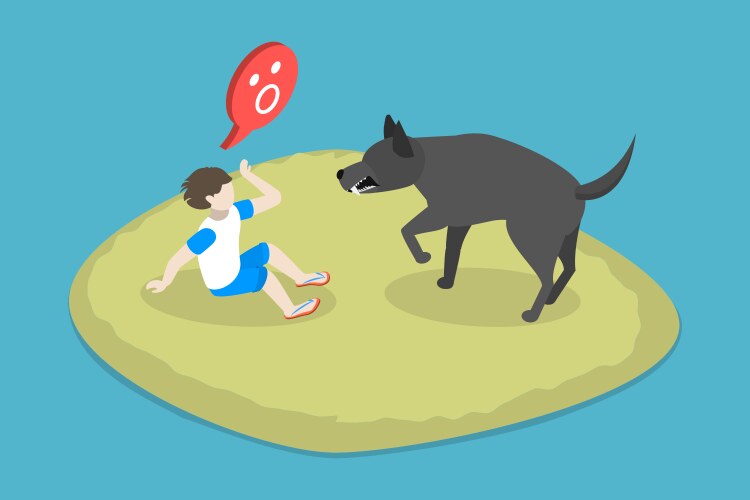 A Dog Chasing Boy Vector Images (53)