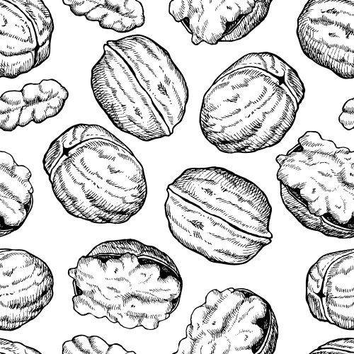 Walnut Vector Images (over 11,000)