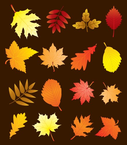 Fall Leaves Vector Images (over 90,000)