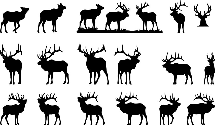 Elk Vector Images (over 18,000)