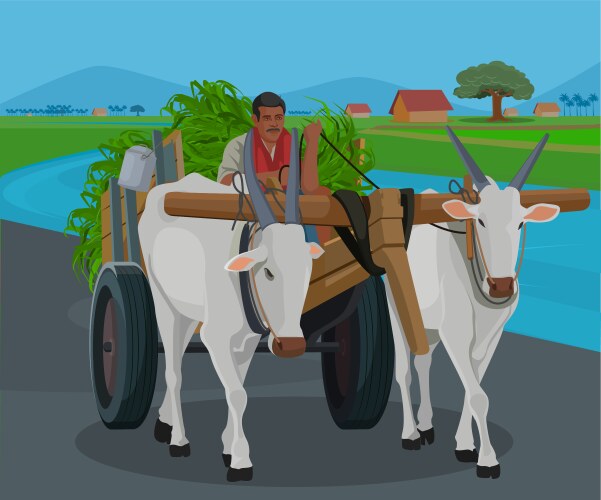 Bullock Cart Vector Images (75)