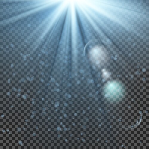 Falling snow effect isolated on transparent Vector Image