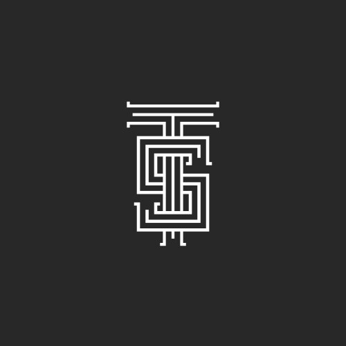 Ts Letter Logo Vector Images (over 2,600)