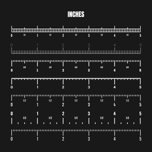White ruler scales size indicators measurement Vector Image