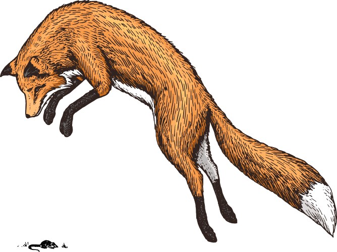 Furry fox jumping cartoon flat Royalty Free Vector Image