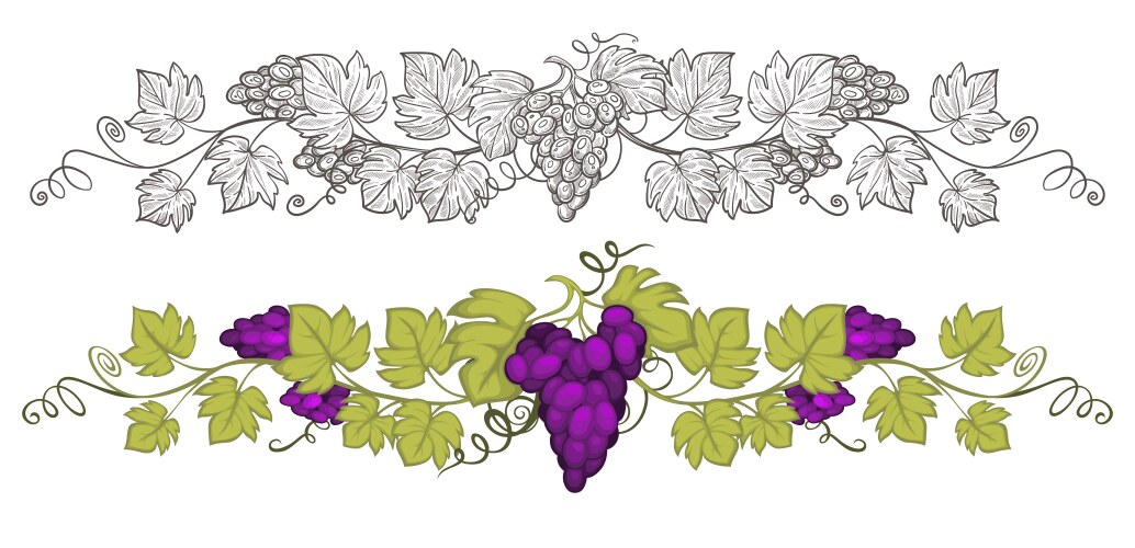 Hand drawn grape branches sketch Royalty Free Vector Image