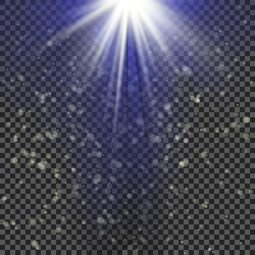 Falling snow effect isolated on transparent Vector Image