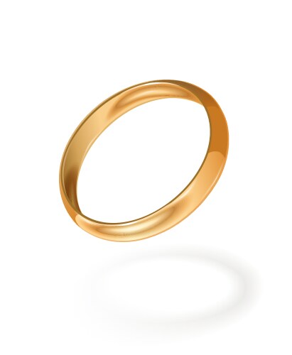 Gold wedding rings isolated Royalty Free Vector Image