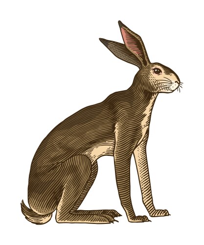 Rabbit Sitting Vector Images (over 6,600)