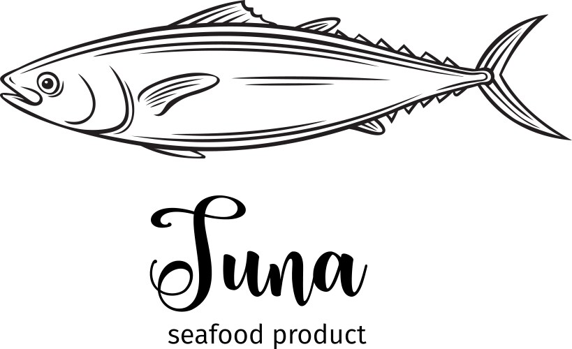 Tuna Drawing Atlantic Vector Images (over 270)