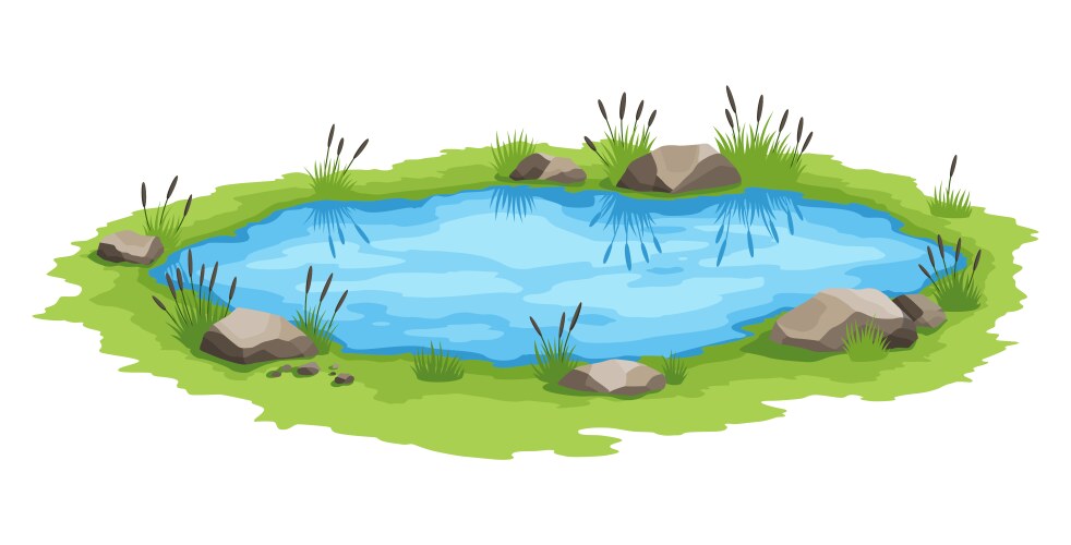 Natural pond Royalty Free Vector Image - VectorStock