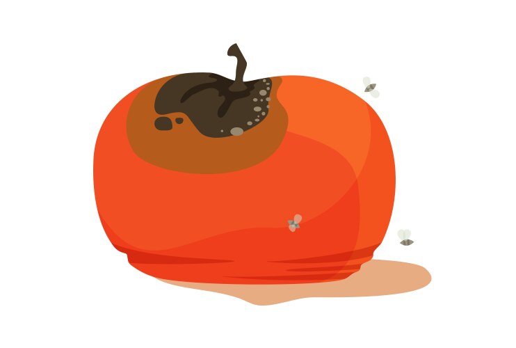 Bad food rotten fruits and vegetables spoiled Vector Image