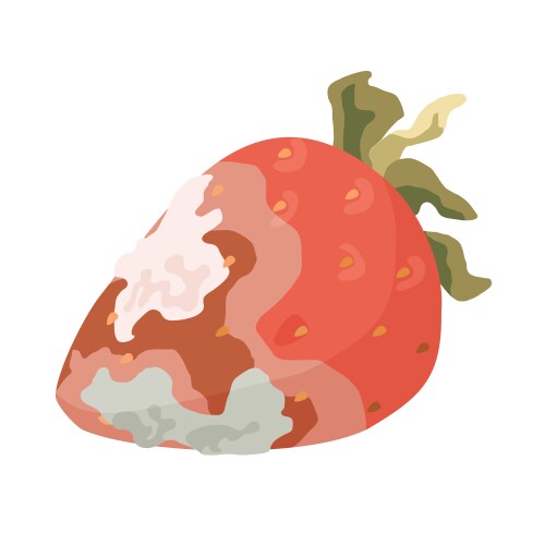 Bad food rotten fruits and vegetables spoiled Vector Image