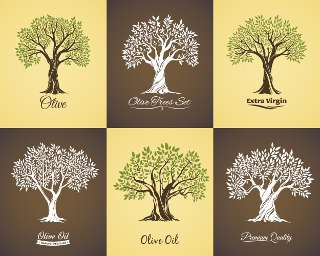 Olive Tree Vector Images (over 230,000)