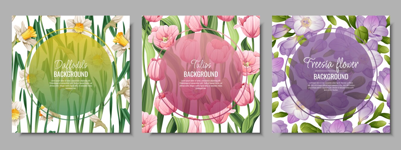 Set of banner templates with spring flowers Vector Image
