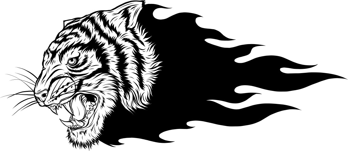 Tiger Outline Vector Images (over 14,000)
