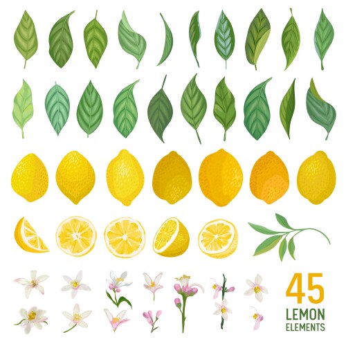 Ten lemons Royalty Free Vector Image - VectorStock