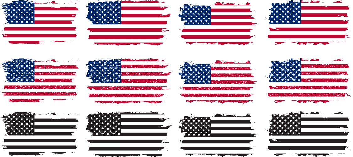 We the people american flag second amendment co Vector Image