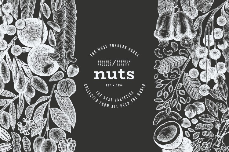 Hand drawn nuts branch and kernels template Vector Image