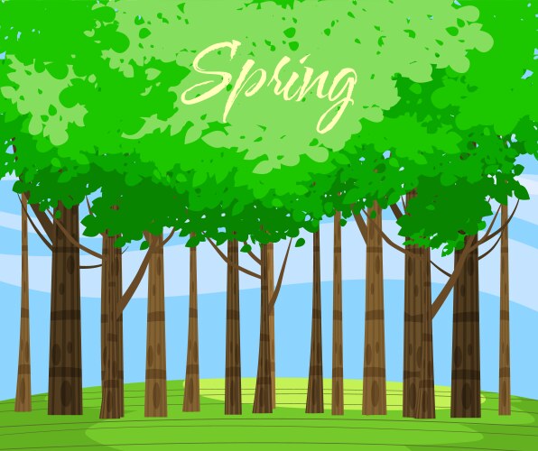 Cartoon of background forest bright Royalty Free Vector