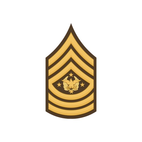 Usa army insignia us military chevrons set Vector Image