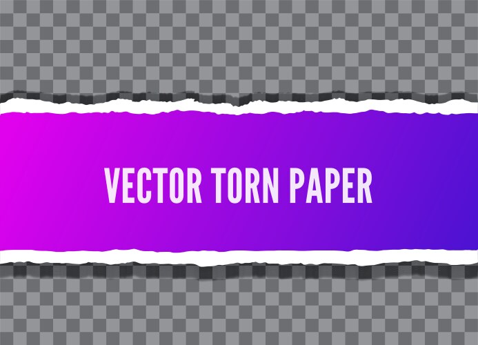 Realistic torn paper border Royalty Free Vector Image