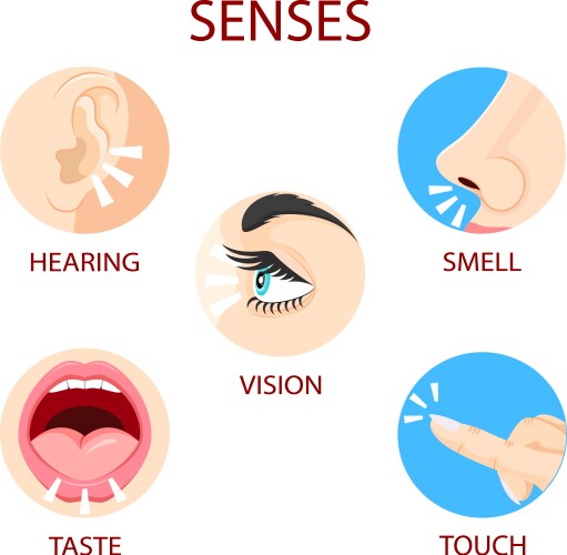 Perception Symbol Icon Vector Images (over 5,300)