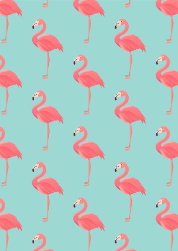 Flamingo bird background Royalty Free Vector Image