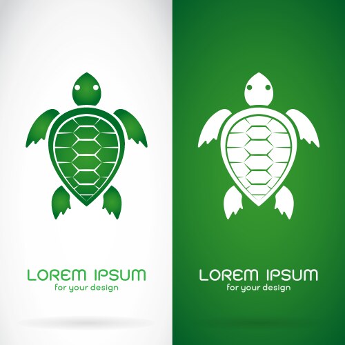 Turtle cartoon with blank sign Royalty Free Vector Image