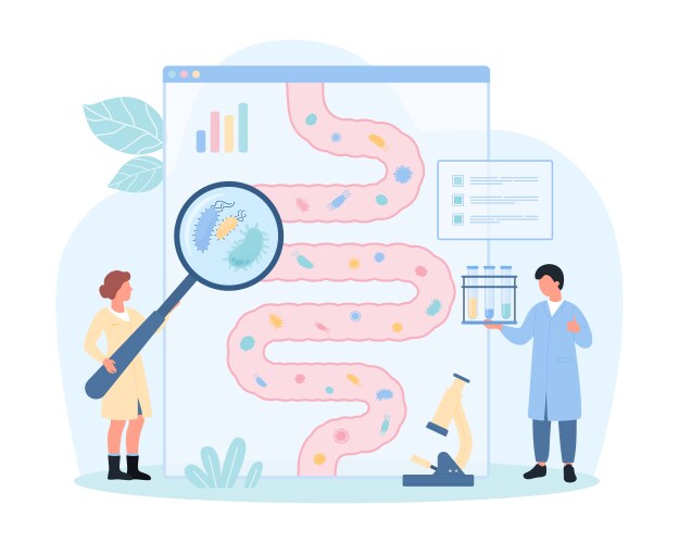 Medical Infographic Colon Vector Images (over 440)