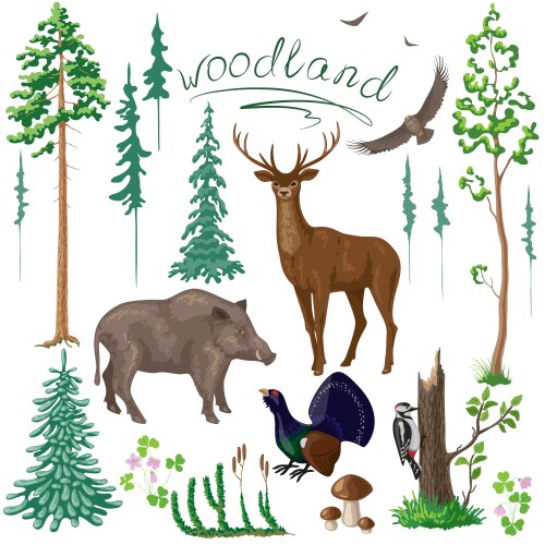 Woodland Vector Images (over 51,000)
