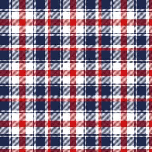 Blue and red tartan plaid seamless pattern Vector Image