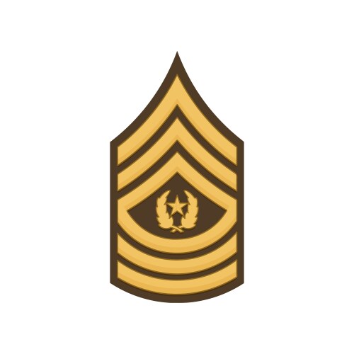Usa army insignia us military chevrons set Vector Image