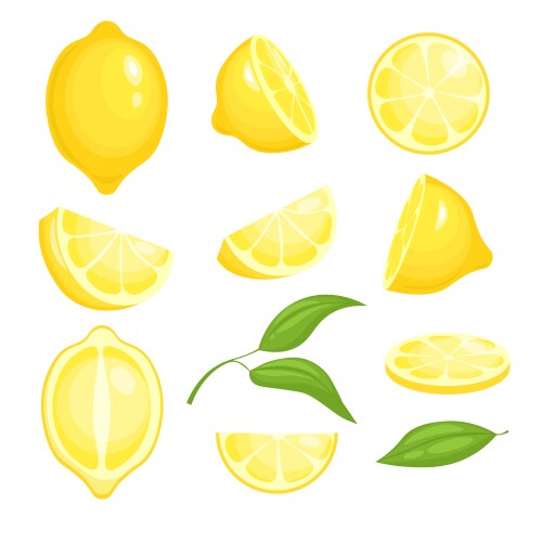 Ten lemons Royalty Free Vector Image - VectorStock