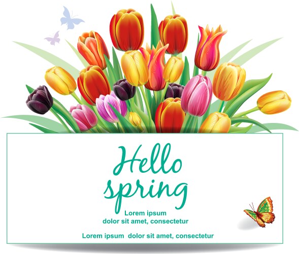 Arrangement with multicolor spring flowers Vector Image