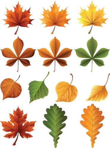 Leaves Vector Images (over 760,000)