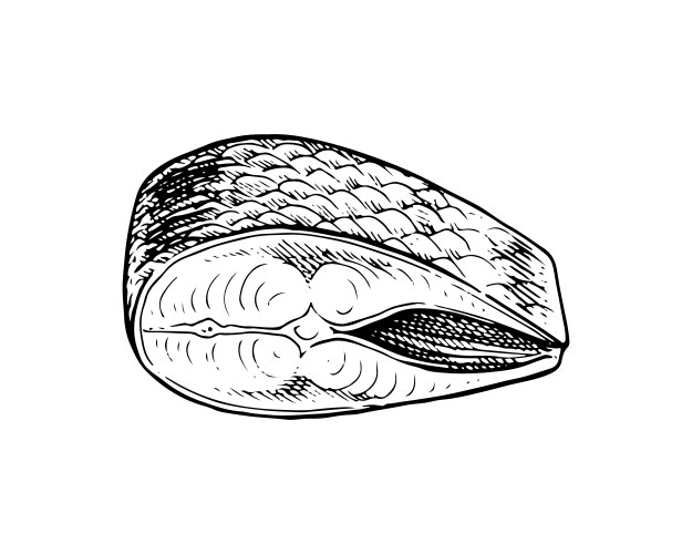 Black and white hand drawn Royalty Free Vector Image