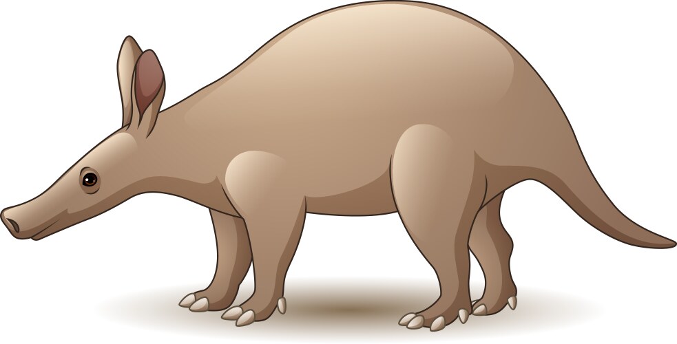 Cute cartoon anteater isolated on white background