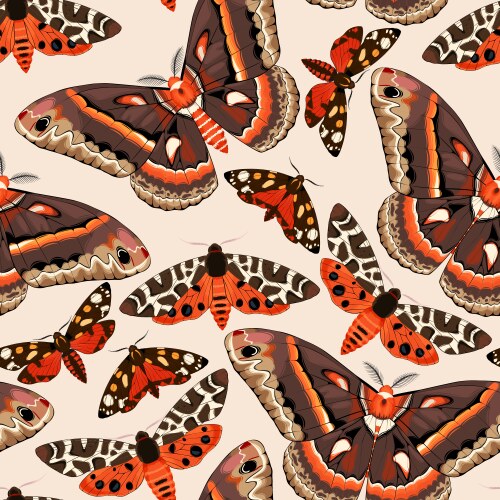 Seamless pattern with hand drawn moths Royalty Free Vector