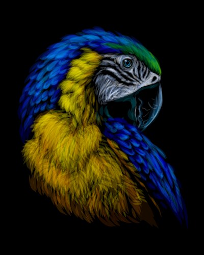 Macaw parrot hand-drawn sketchy art portrait Vector Image