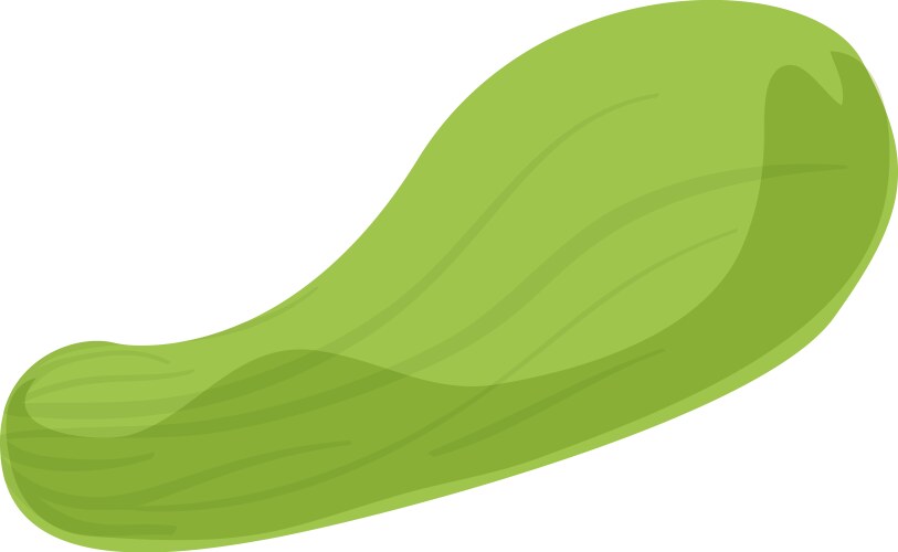 Green bitter gourd or momordica charantia Vector Image