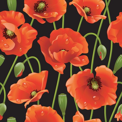 Poppy background Royalty Free Vector Image - VectorStock