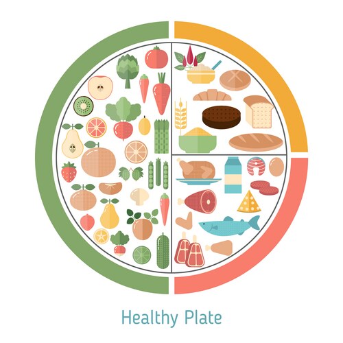 Healthy Low Carb Diet Poster – Royalty-Free Vector | VectorStock