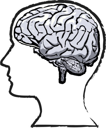 Brain Vector Images (over 250,000)