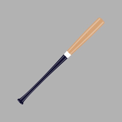 Baseball bat icon on transparent background Vector Image