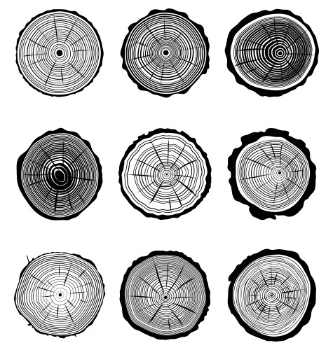 Cross Section Vector Images (over 12,000)